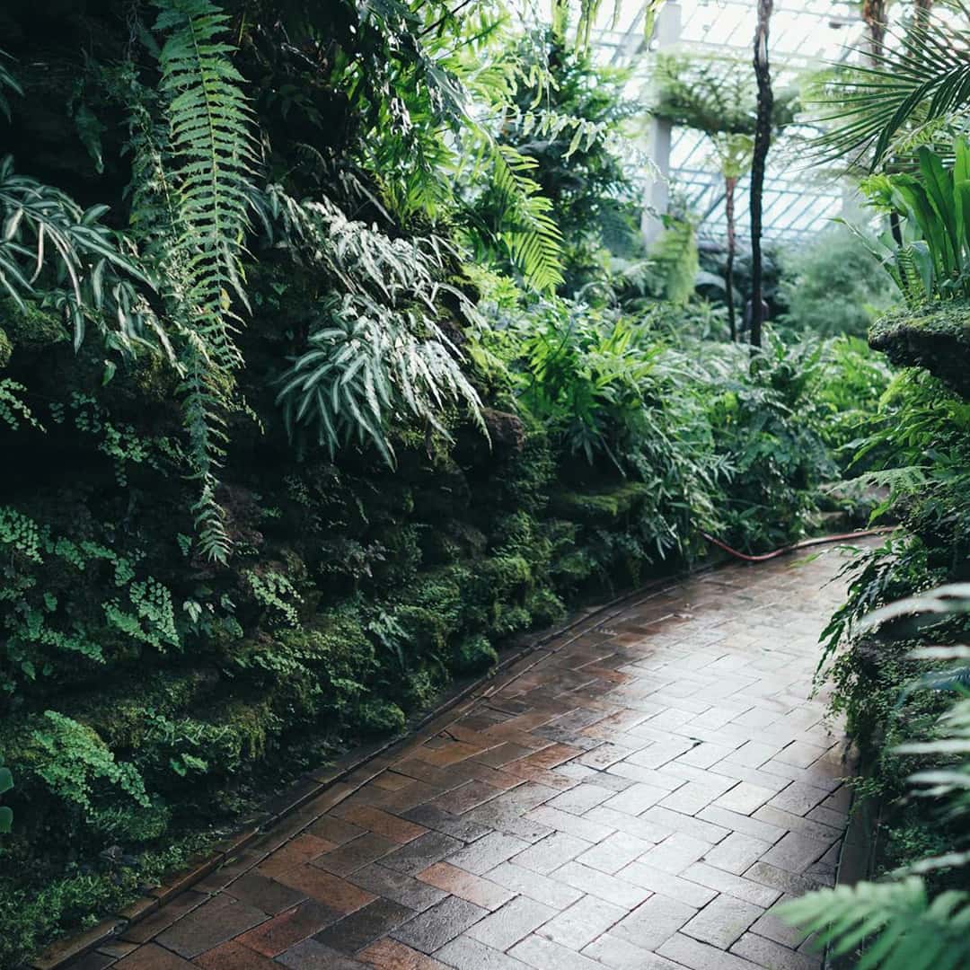 Harmony Gardens - DB Golf Academy - London's Leading Golf Professional