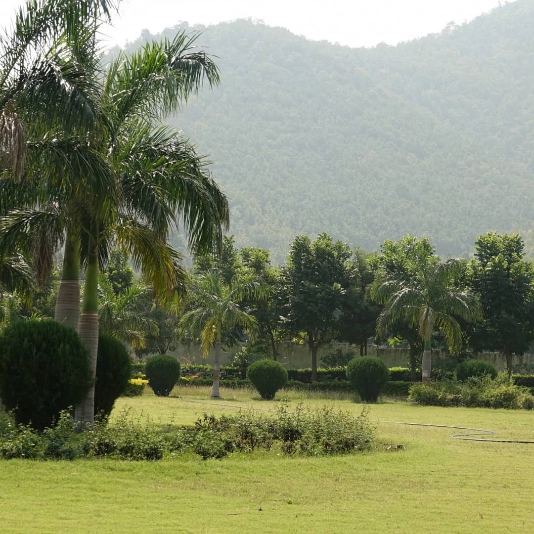 Verdant Visions - DB Golf Academy - London's Leading Golf Professional